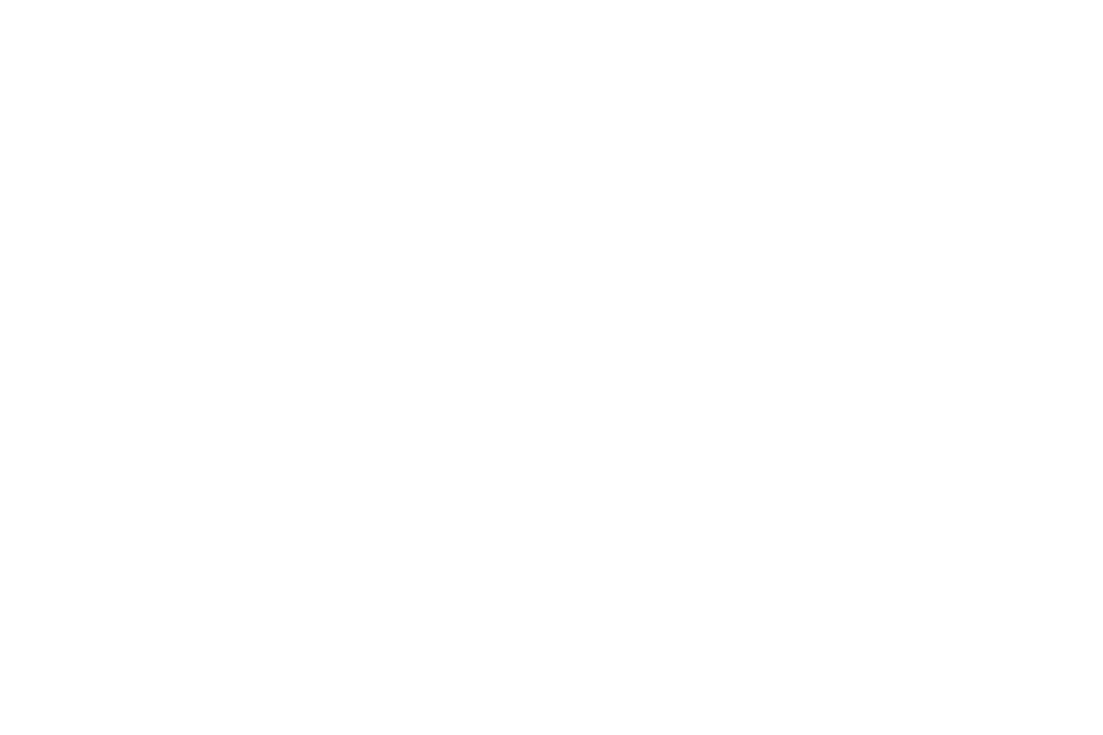 Alpha Data - committed to providing solutions