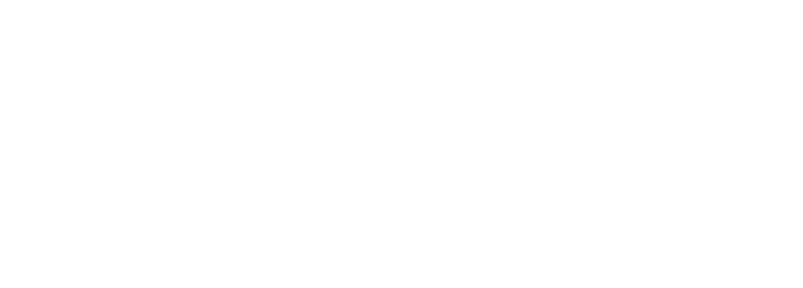 Alpha Data - committed to providing solutions